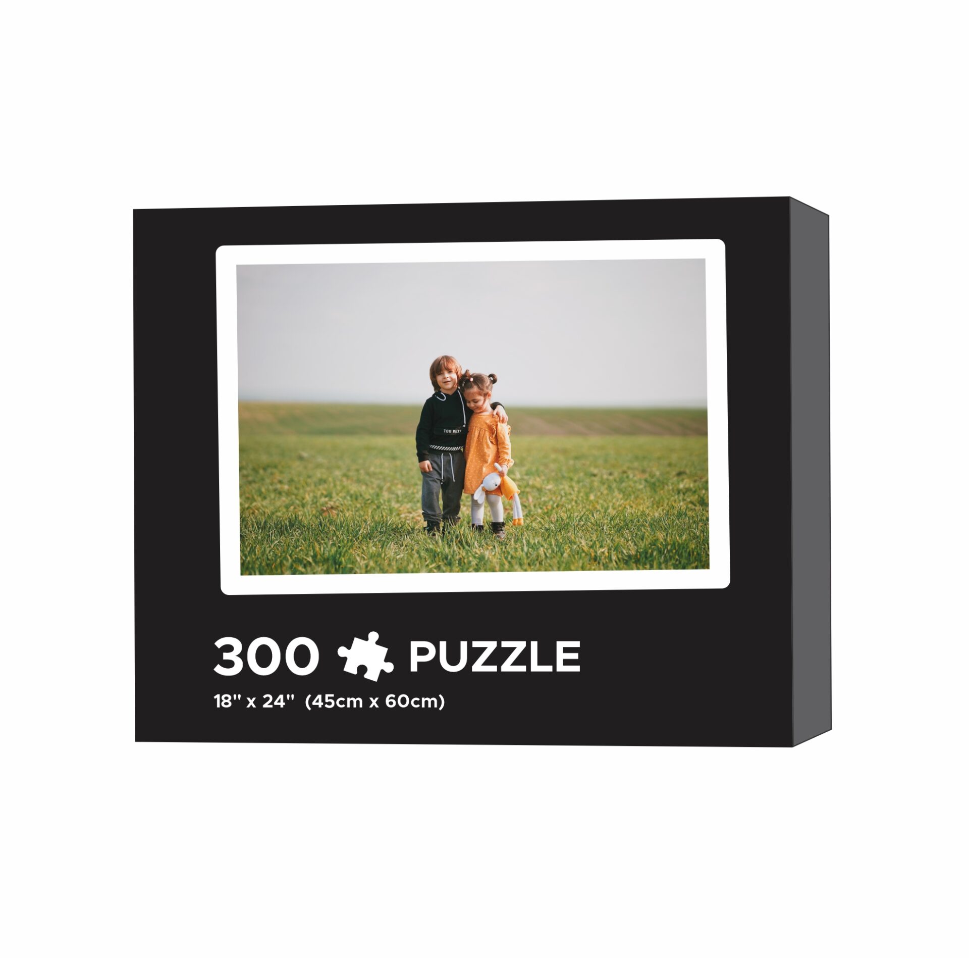 300 Piece Puzzle – The Jigsaw Puzzle Guy