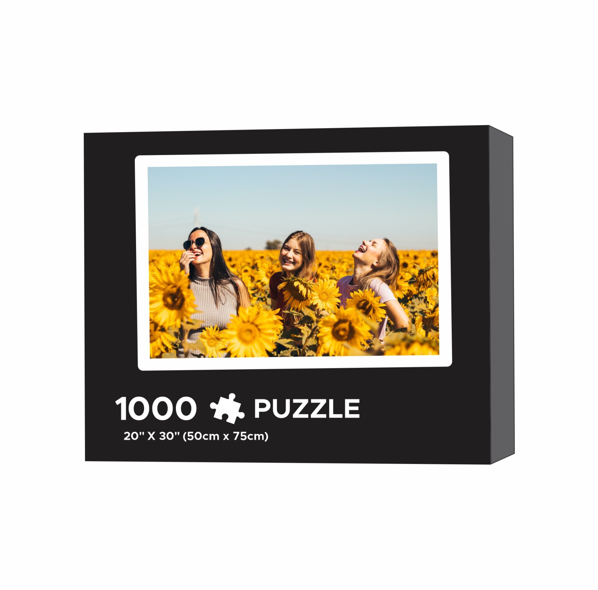 1000 Piece Puzzle – The Jigsaw Puzzle Guy